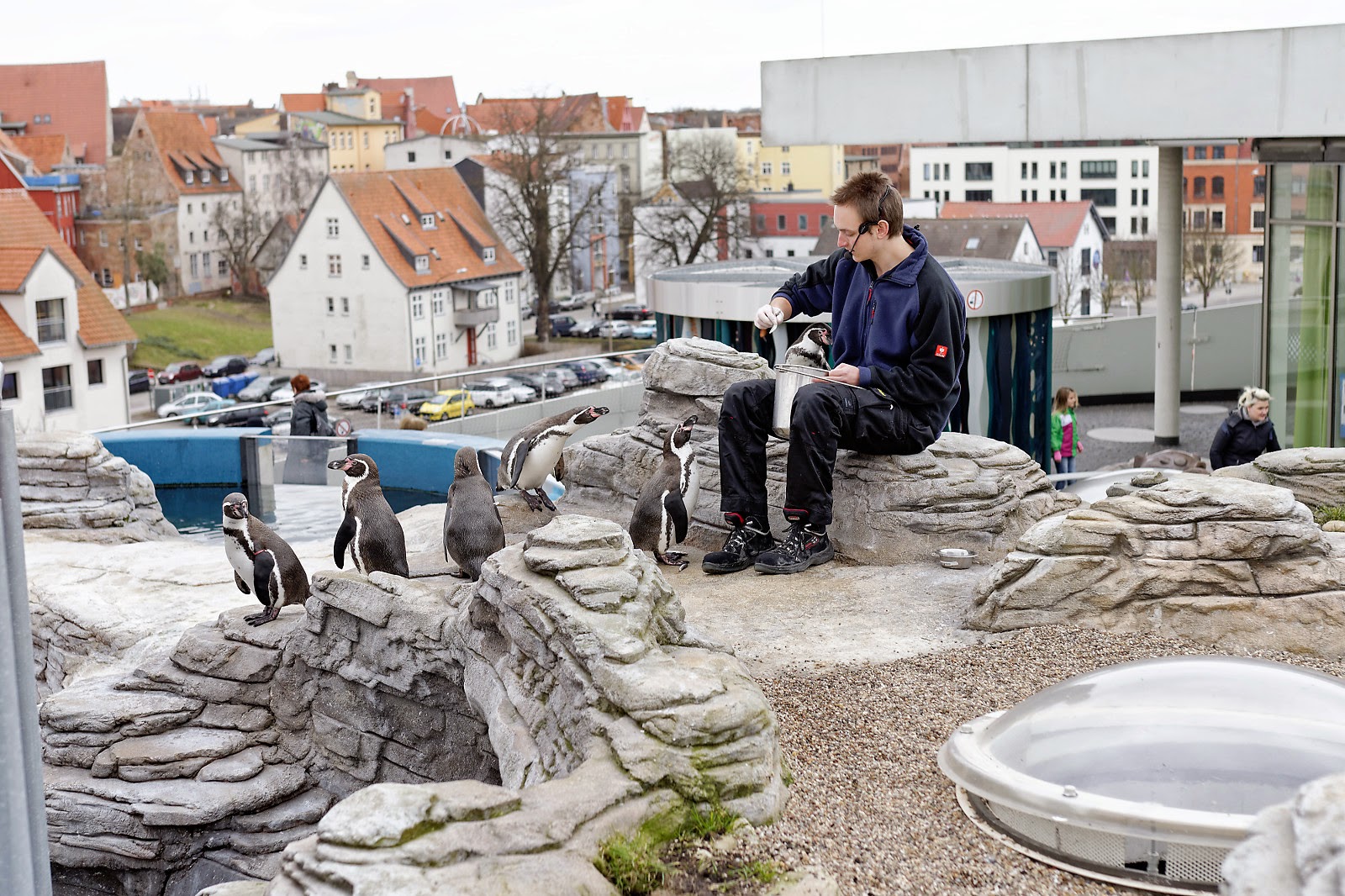 Oceanarium i Muzeum Morza w Stralsund - mnóstwo zdjęć - matkawariatka.pl