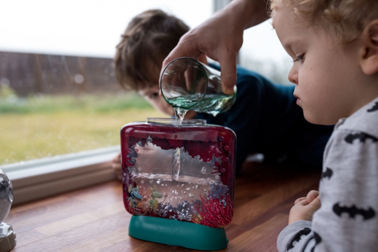 W naszym domu zamieszkały prawdziwe, ŻYWE smoki - matkawariatka.pl