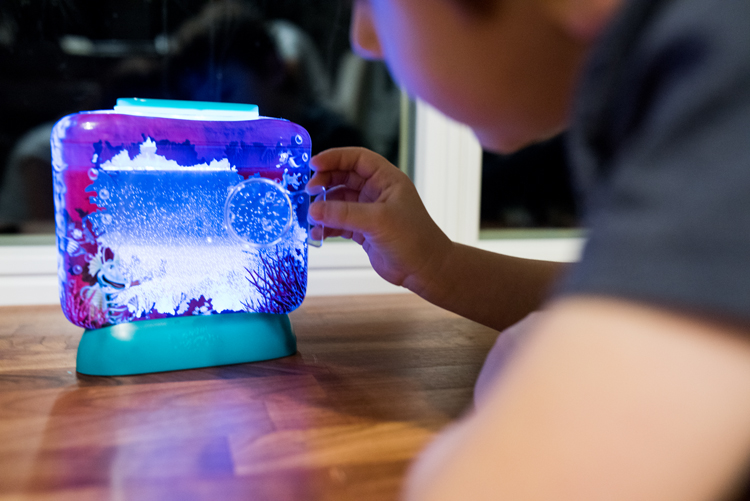 W naszym domu zamieszkały prawdziwe, ŻYWE smoki - matkawariatka.pl