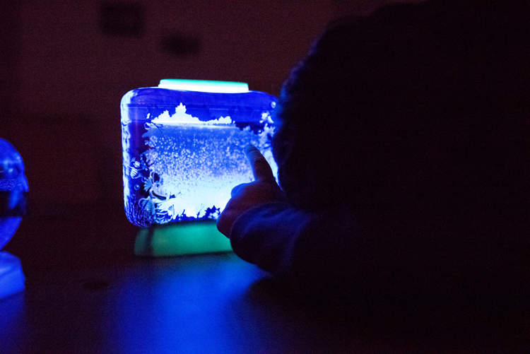 W naszym domu zamieszkały prawdziwe, ŻYWE smoki - matkawariatka.pl